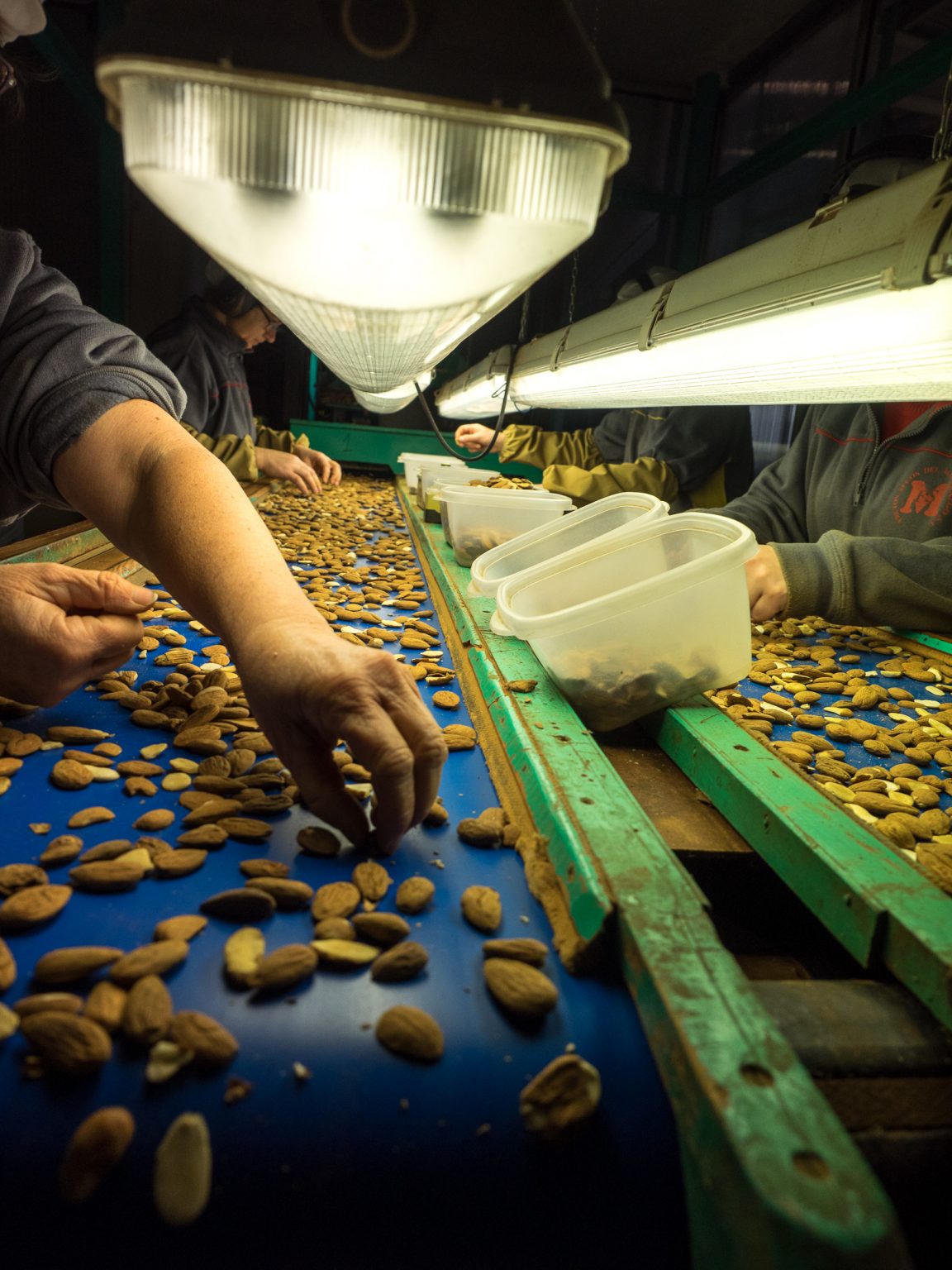The Almond processing plant, El Maestrat - UP A MOUNTAIN IN SPAIN